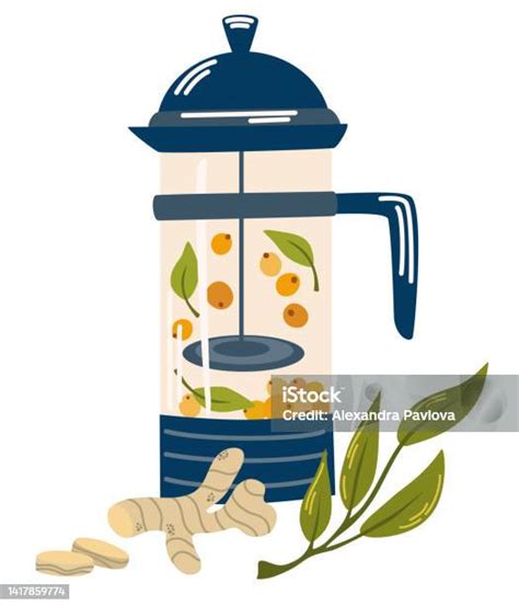 바다 갈매 나무속과 생강을 곁들인 차 차 열매를 곁들인 머그잔 건강을위한 뜨거운 천연 음료 자연 웰빙 포스터 유기농 허브 차 야생화 및 허브의 약사 벡터 일러스트 레이 션