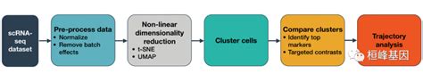 Scs【7】单细胞转录组之轨迹分析 Monocle 3 聚类、分类和计数细胞 知乎