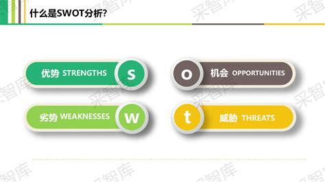 Swot分析ppt模板 采智库