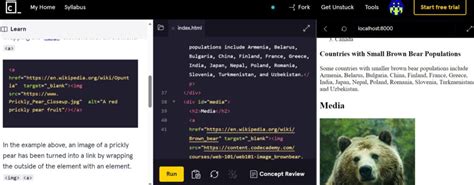 Learning To Code A Rock In A Weary Land