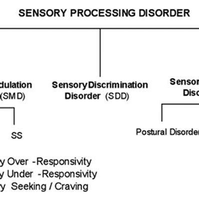 The Types And Subtypes Of SPD According To Lucy Jane Miller Kid Download Scientific Diagram