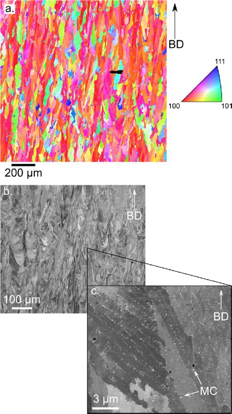 A Inverse Pole Figure Ipf Grain Orientation Map Of As Built Am