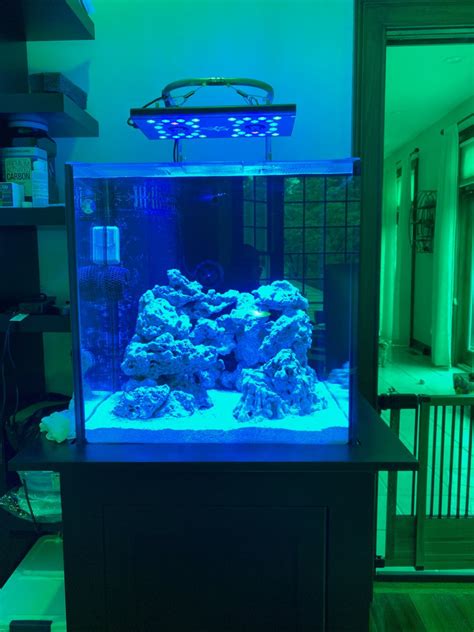 Build Thread 60 Gallon Cube Build Page 3 Reef2reef
