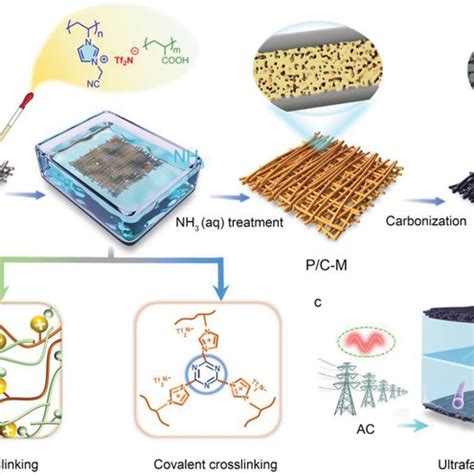 A Schematic Illustration For The Fabrication Process Of Poly Ionic Download Scientific Diagram