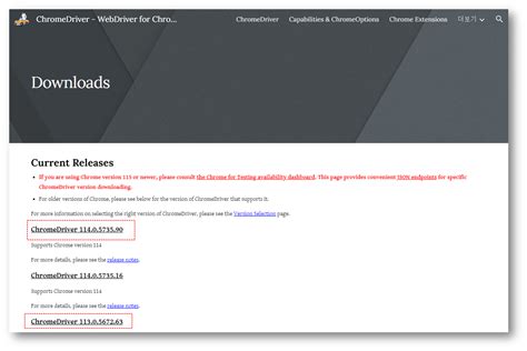 파이썬python 셀레니움 크롬 드라이버 다운로드 설치