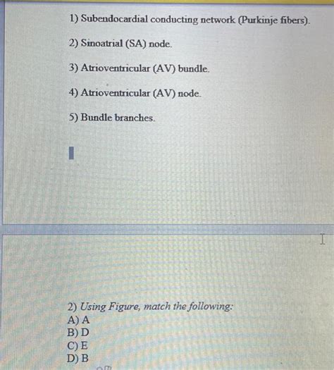 Solved Matching Questions B D E Using Figure Match The Chegg
