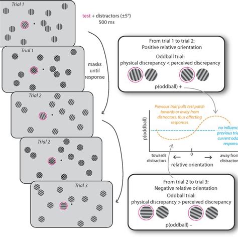 Procedure Left On Each Trial A Gabor Patch Appeared At The Test