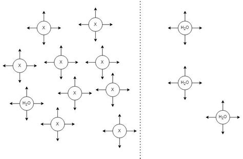 Human Anatomy Exercise 7 Ch 2 Pg 36 Quizlet