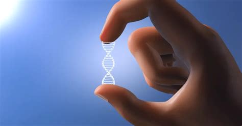 Dna Typing And Its Significance Anthroholic