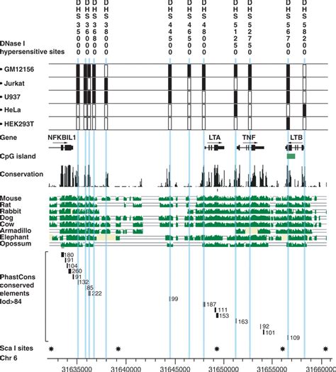 Sequence Conservation Analysis And Dnase I Hypersensitivity Map Of Tnf