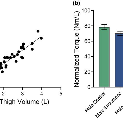 Relationship Between Quadriceps Torque And Anterior Thigh Volume A