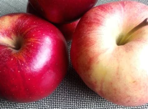 Adult Apple Cider Markets Media