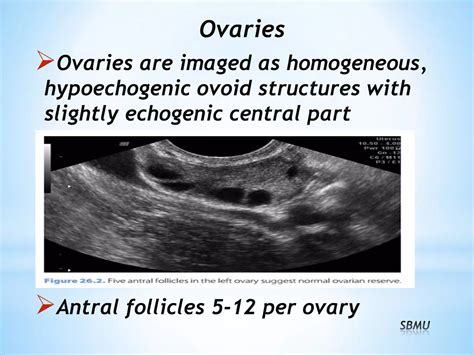 Drnazarinormalpelvicultrasoundpdf