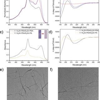 Distinct Structural Features Of Peptide PDA Nanostructures In Response Download Scientific