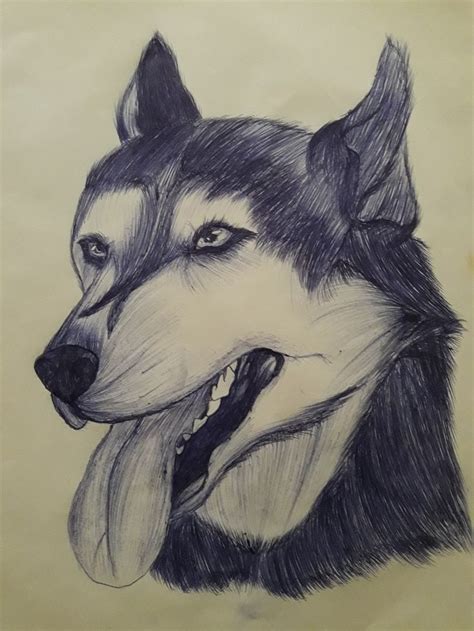 نقاشی سگ هاسکی با خودکار Sketches Humanoid Sketch Art