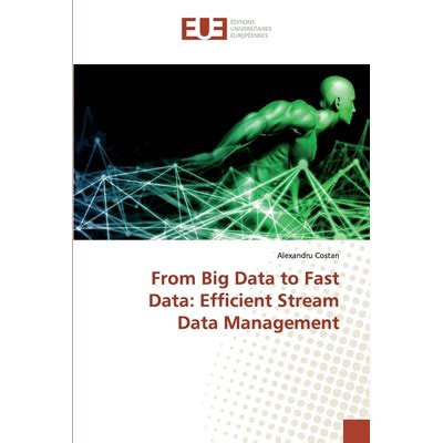 From Big Data to Fast Data: Efficient Stream Data Management Costan, Alexandru - Jarir.com KSA