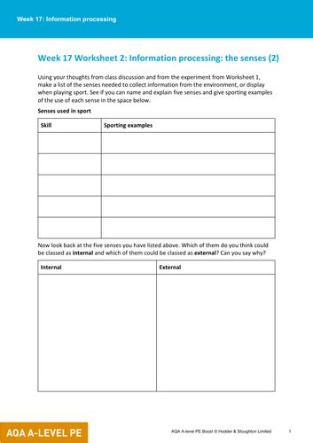 Information Processing Model Teaching Resources