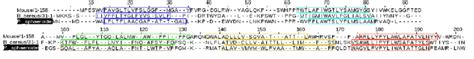 14 Experimental Structures Of Tspo A Nmr Structure Of Mouse Tspo