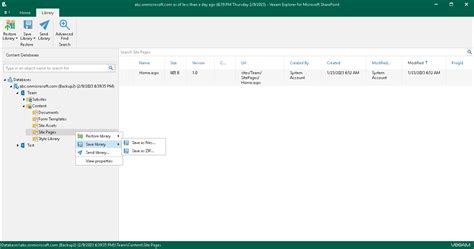 Saving Microsoft Sharepoint Documents And Libraries Veeam Backup For Microsoft 365 Explorers