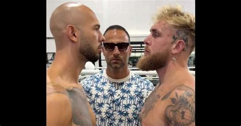 'Fight is gonna go viral': Fans thrilled as Jake Paul and Andrew Tate ...