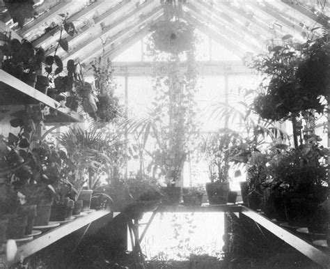 What San Jose California Looked Like In The Late 19th Century