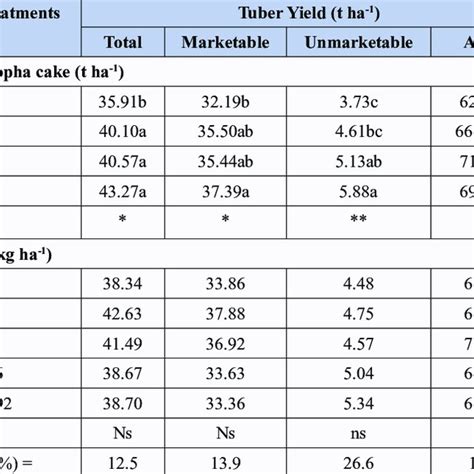 Nigussie Dechassa R Professor Doctor Of Philosophy Haramaya