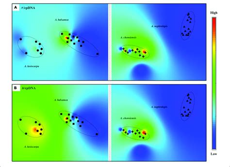 Genetic Diversity Of Cpdna Haplotype Across The Range Of The Four Fir Download Scientific