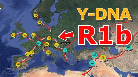 How Did The Y Dna Haplogroup R1b Become Europeanhuman Migration