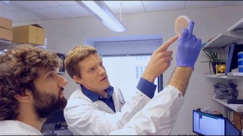 Synthetic Microbial Community Syncom Its Effect In Sustainable Agriculture