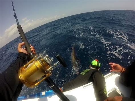 Twin Hooks 2025 All You Should Know Before You Go W Reviews