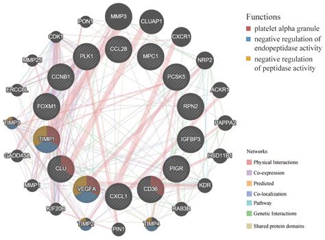 Cyclic Relationship Graph