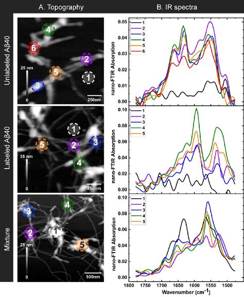 lll figure is a low resolution version lll infrared nanospectroscopy