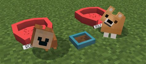 ⚔️ Скачать Новые собаки мод для Майнкрафт 1 20 1 19 1 18