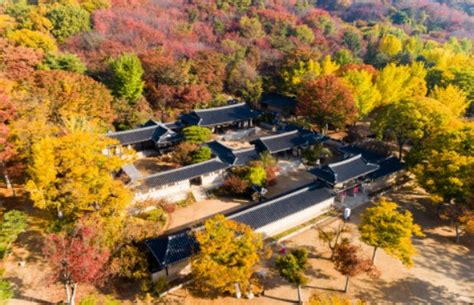 한국민속촌 이상하고 새로운 가을 축제 ‘풍요로운 낭만조선 개막 한국역사문화신문