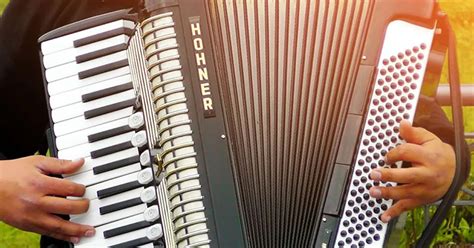 서울 강동구 지역 아코디언 레슨 추천고수 숨고 숨은고수