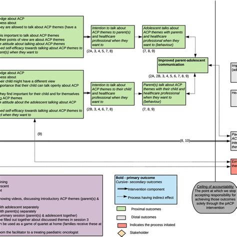 Flow Diagram Of The Development Process Of The Boost Pacp Intervention Download Scientific