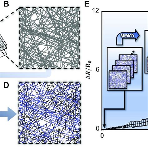 A Simulation Cell For Cnt Network Analysis Under Periodic Boundary Download Scientific