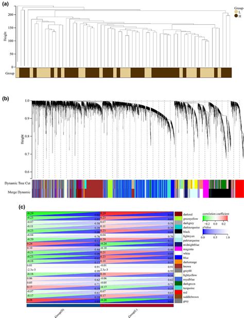 Construction Of Co Expression Modules A Clustering Dendrogram Of 62