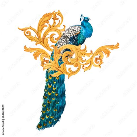 Watercolor Peacock Composition Stock Illustration Adobe Stock