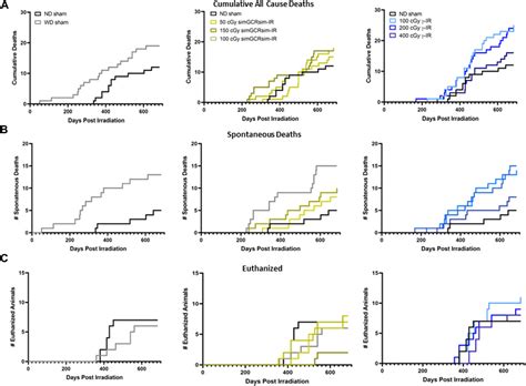 Frontiers Lifetime Evaluation Of Left Ventricular Structure And Function In Male Apoe Null
