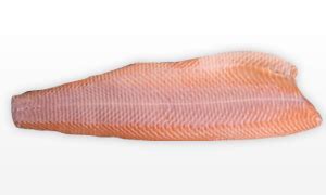 Salmon Fillet Guide