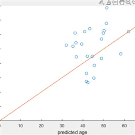 Deep Learning Brain Age Estimation