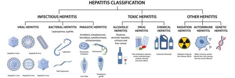 Types Of Hepatitis Bariboost