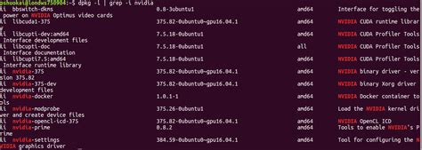 Why The Two Gpus On My Machine Have The Same Id So That Pytorch Can