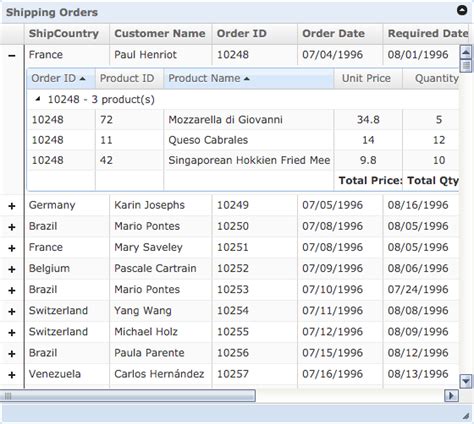 ParamQuery Best JavaScript Data Grids And Spreadsheets For React Angular Vue And Svelte