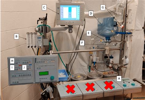 Setup Of An Ex Situ Perfusion System A The Two Servo Regulated Pump Download Scientific