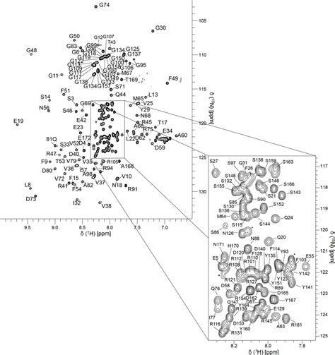 Resonance Assignments Of Hnrnp A18 The 2d ¹ H ¹⁵ N Edited Hsqc