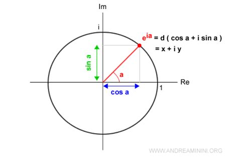 Exponential Form Of Complex Numbers Andrea Minini