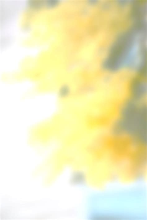 Testimonials Camille Sun Coaching