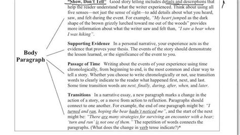 Narrative Essay Examples College